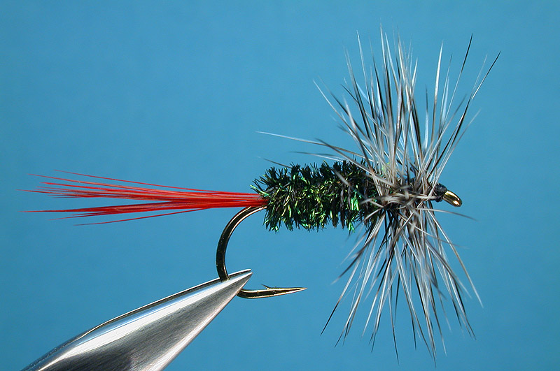 Grey Hackle Peacock (Dry) Grey Hackle Peacock (Dry)