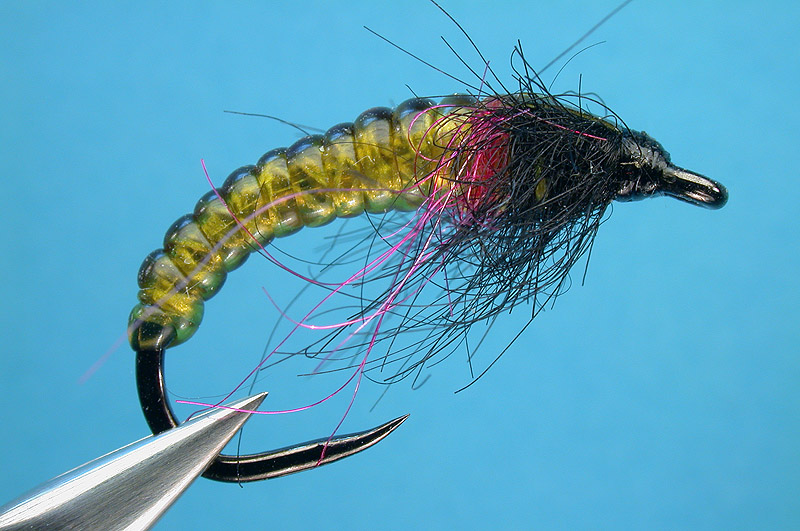 Czech Nymph